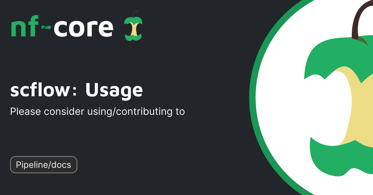 scflow: Usage